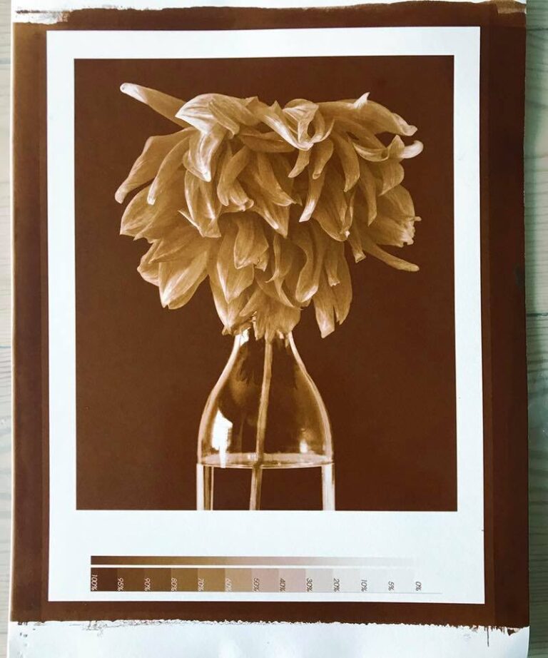 Salt Printing Gallery | Handmade Salt Prints | Alternative Photography ...