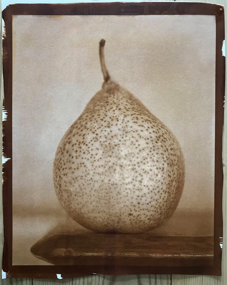 Salt Printing Gallery | Handmade Salt Prints | Alternative Photography ...