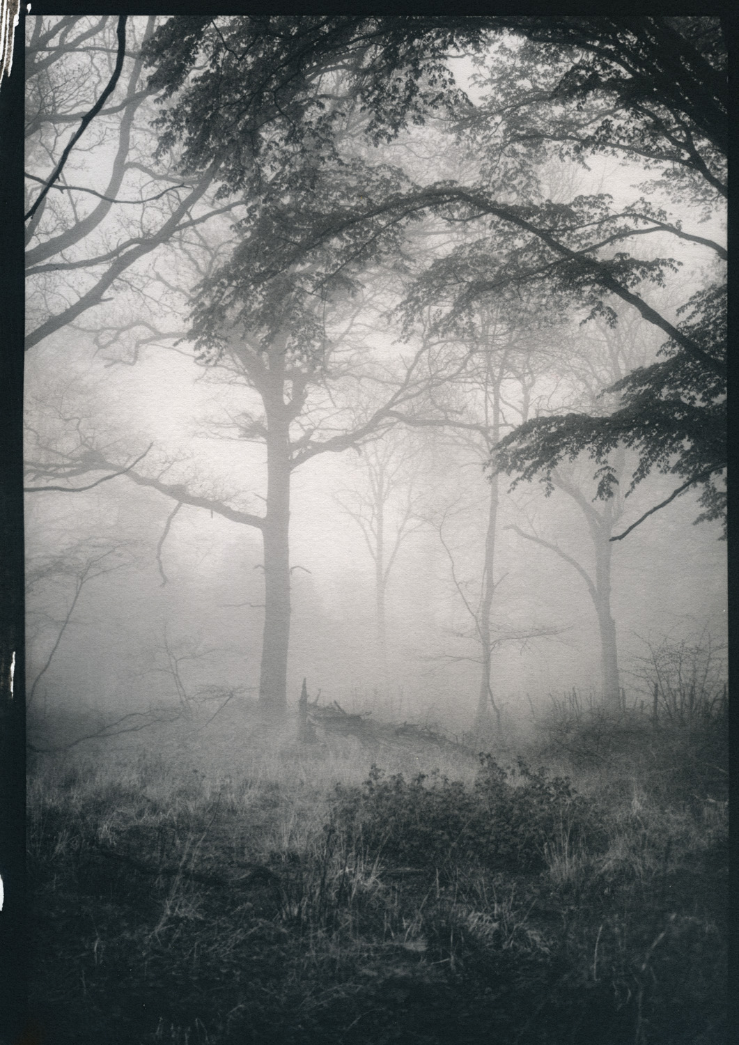 Salt Printing Gallery | Handmade Salt Prints | Alternative Photography ...