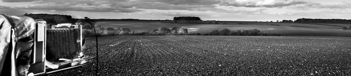 Analogue Film Photography - Ian Phillips-McLaren – British Artist ...